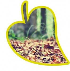 Dónde se genera – Paisaje Limpio